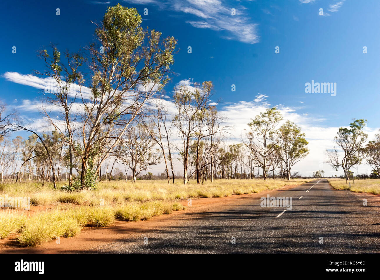 Tree lined outback road, northern Australia Stock Photo - Alamy
