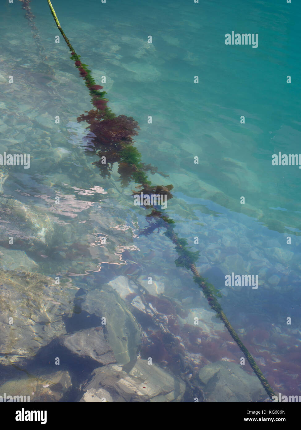 Submerged Nautical Rope Stock Photo - Alamy