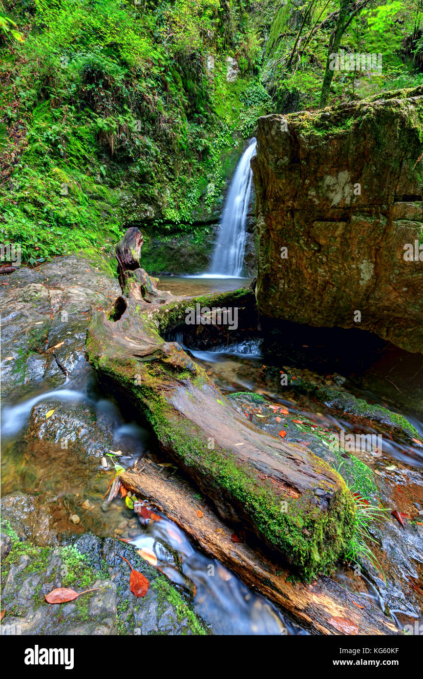 Nanayono Waterfall, Japan with green foliage Stock Photo - Alamy