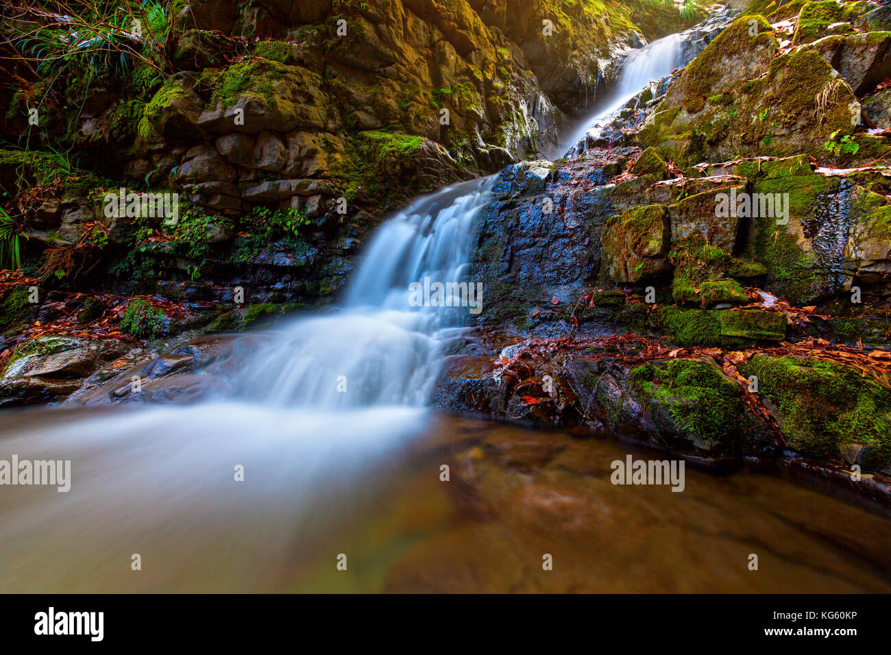 Nine Dragons Waterfall in Hinohara, Japan with red leaves on the rocks ...