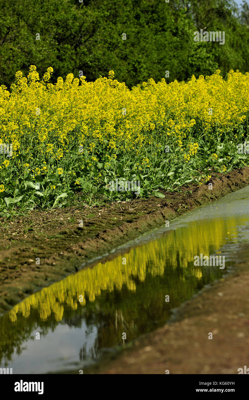 country, landscape, nature, spring, poland, europe, photo by kazimierz ...