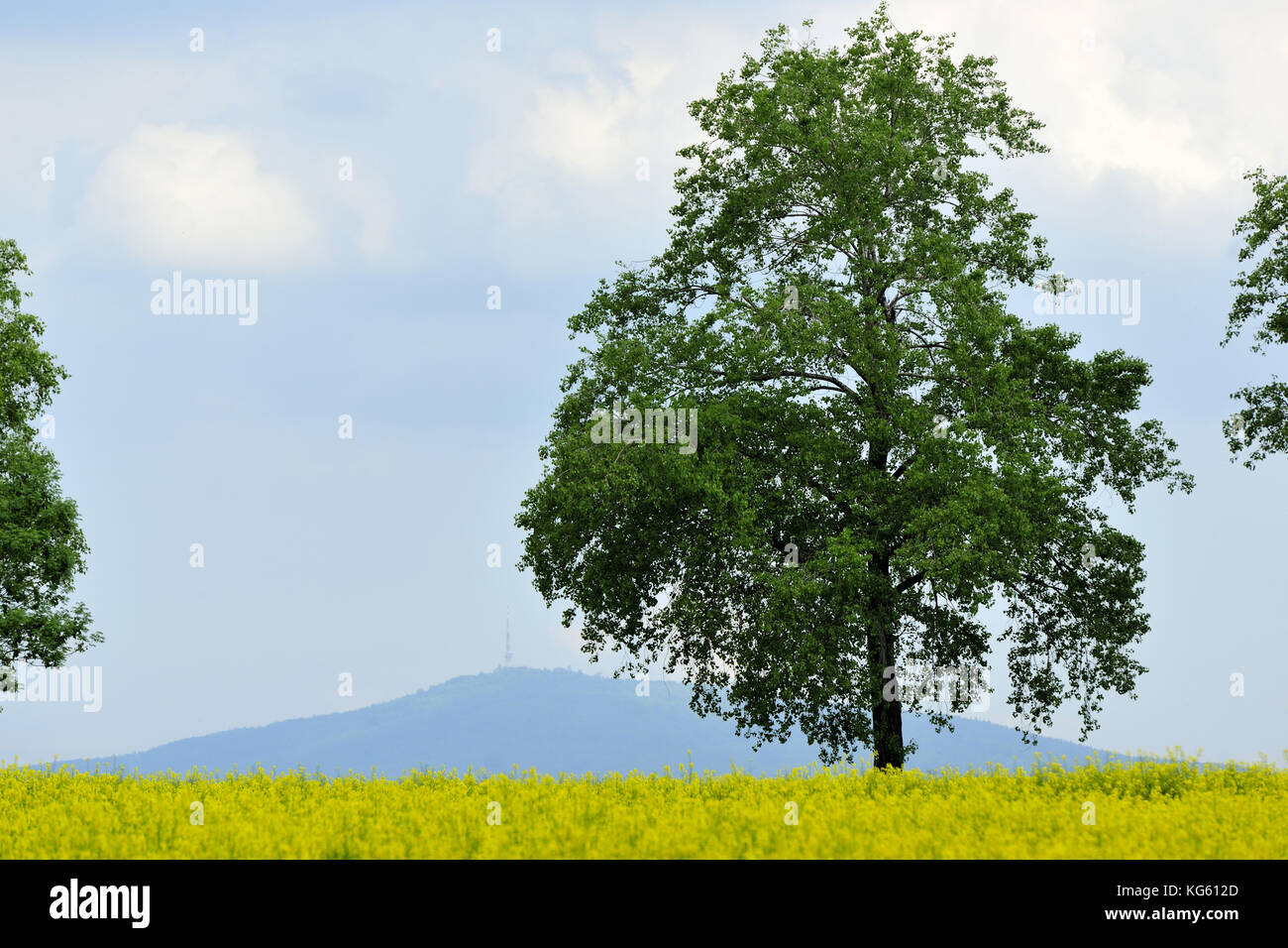 718 m above sea level, landscape, dolnoslaskie, landscape, mountain ...