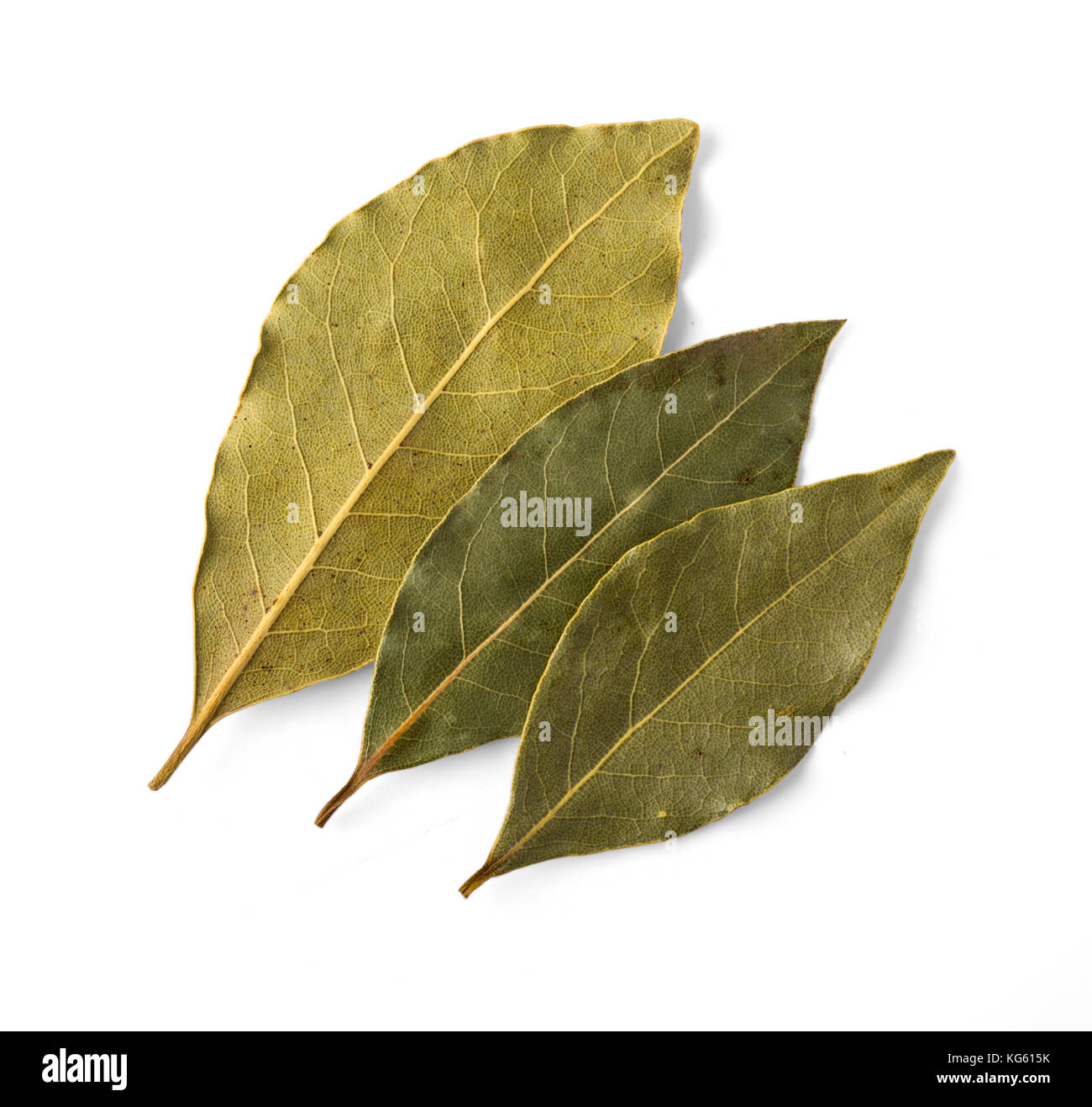 Three dried bay leaves, isolated on white background. with clipping ...