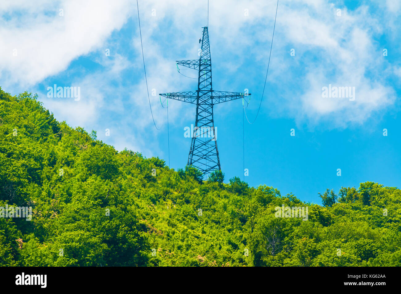 A transmission tower standing in the middle of forest on the top of a ...