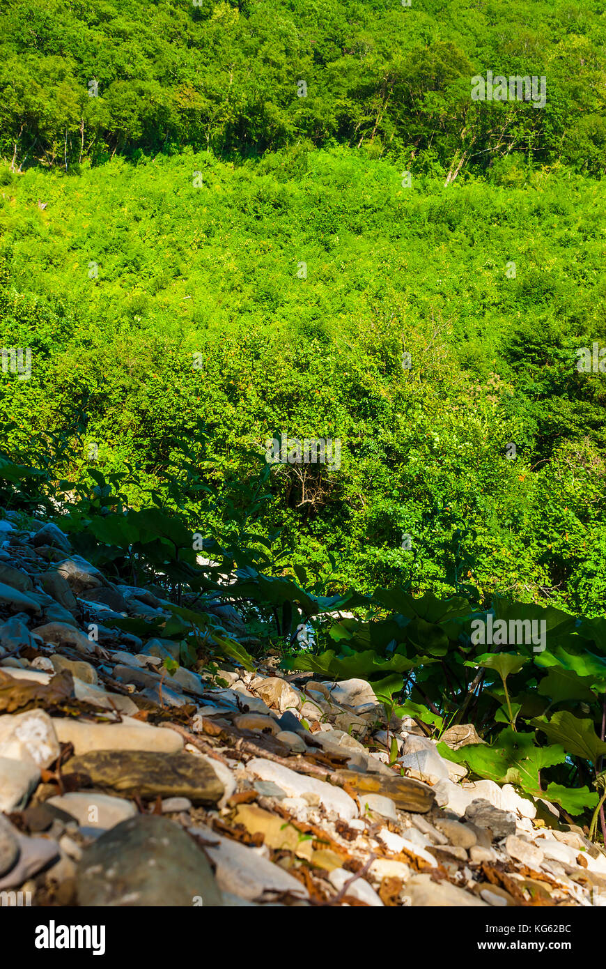 Mountainside slope hi-res stock photography and images - Alamy