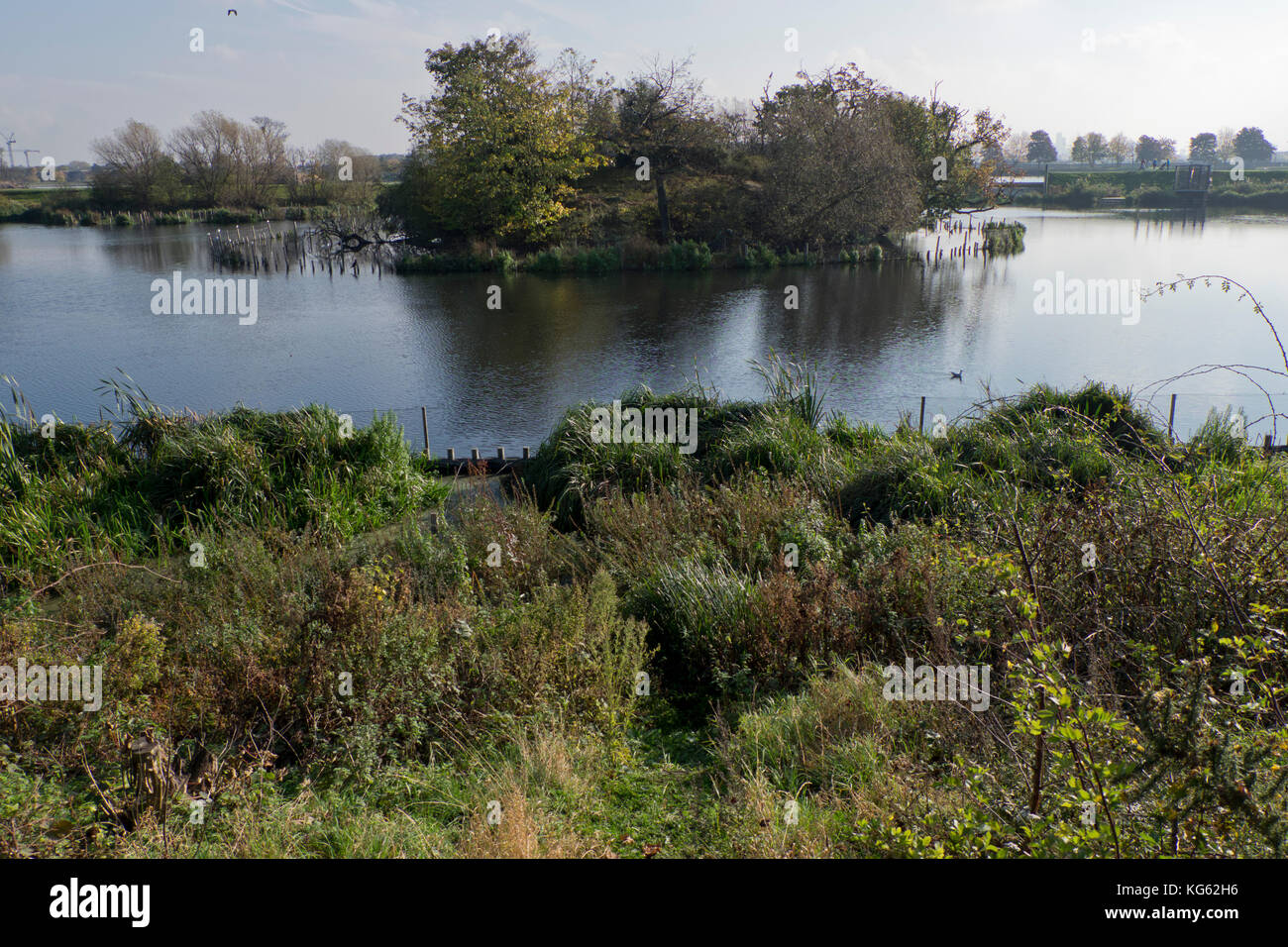 Walthamstow Wetlands nature reserve,London,UK Stock Photo - Alamy