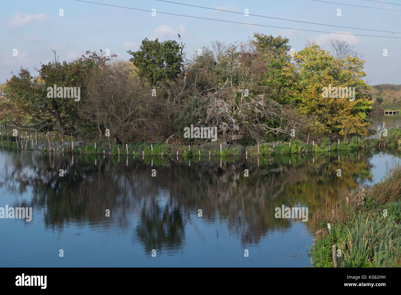 Walthamstow Wetlands nature reserve,London,UK Stock Photo - Alamy