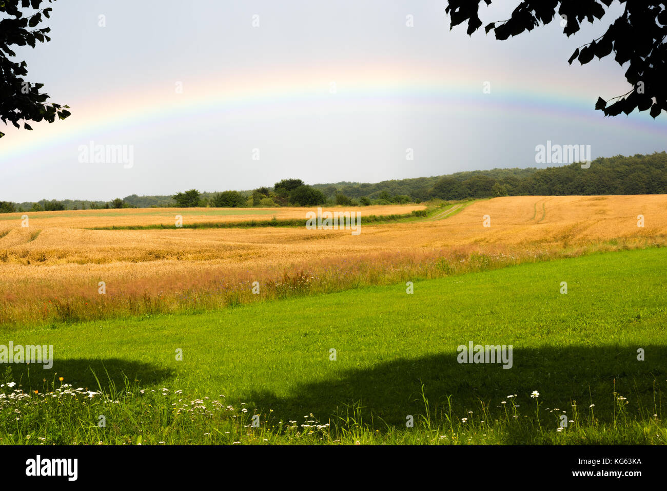 rainbow over the field Stock Photo - Alamy