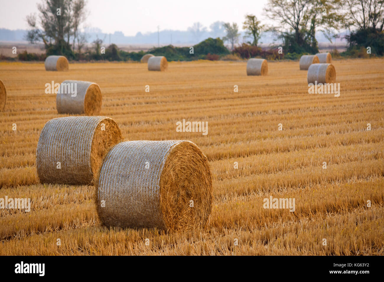 Cylinder form hi-res stock photography and images - Alamy