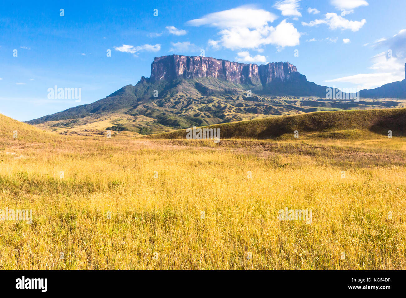 Trekking Mount Roraima Venezuela South America Stock Photo - Alamy