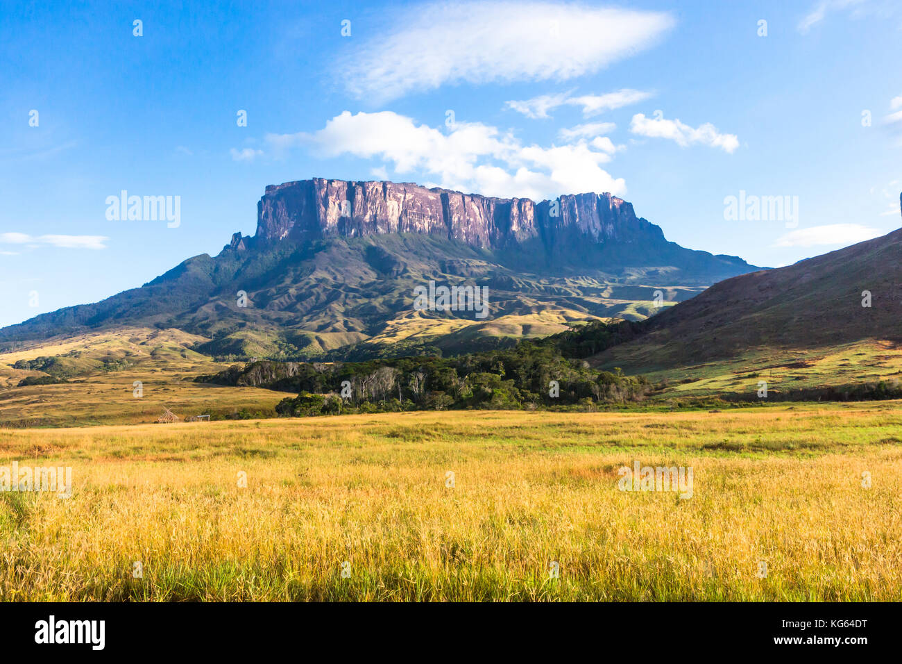 Trekking Mount Roraima Venezuela South America Stock Photo - Alamy