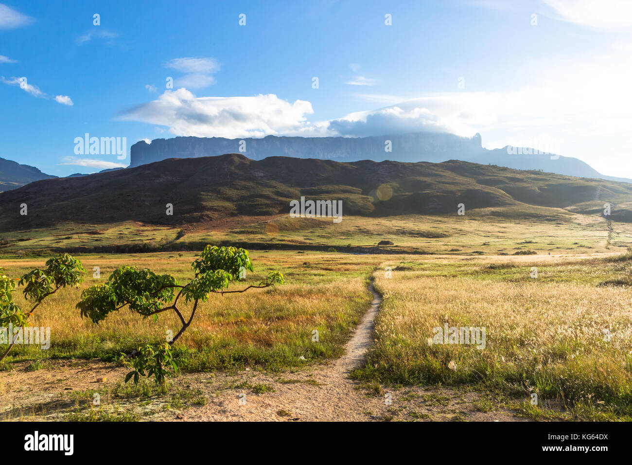 Trekking Mount Roraima Venezuela South America Stock Photo - Alamy