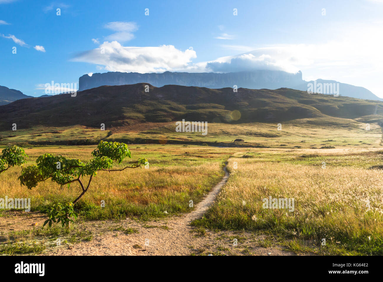 Mount roraima hi-res stock photography and images - Alamy