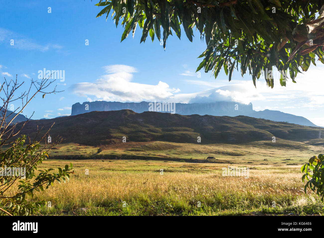 Tepui and venezuela and climb hi-res stock photography and images - Alamy