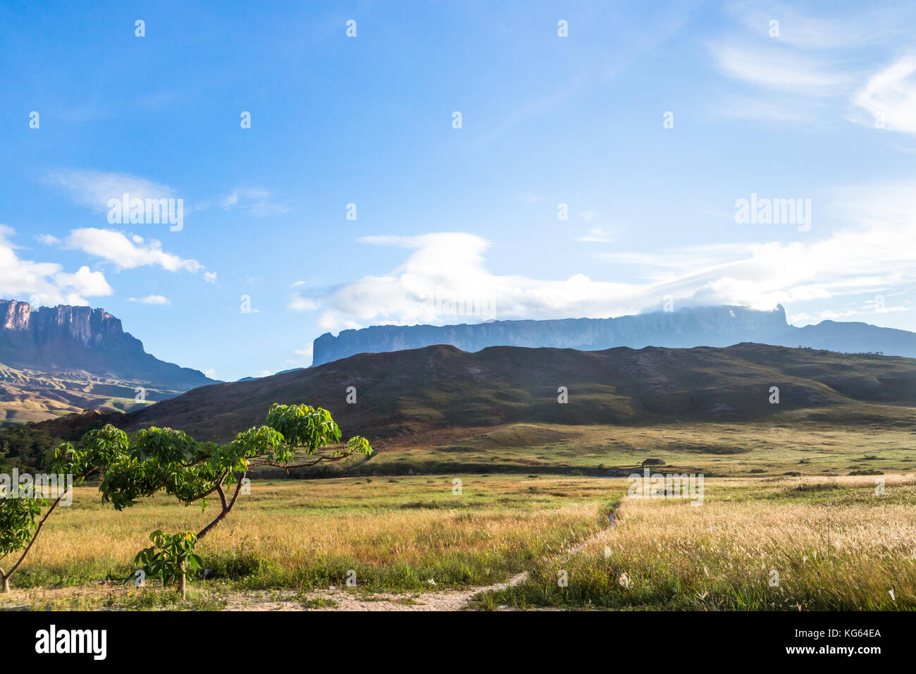 Trekking Mount Roraima Venezuela South America Stock Photo - Alamy