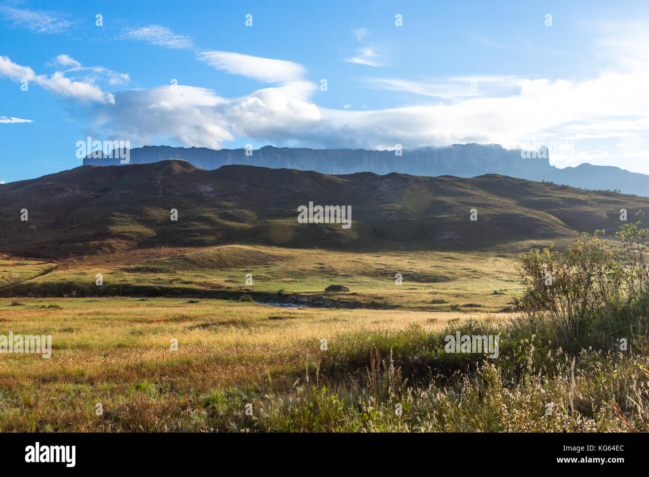 Trekking Mount Roraima Venezuela South America Stock Photo - Alamy