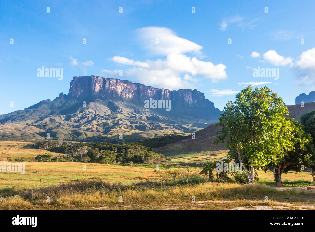 Trekking Mount Roraima Venezuela South America Stock Photo - Alamy