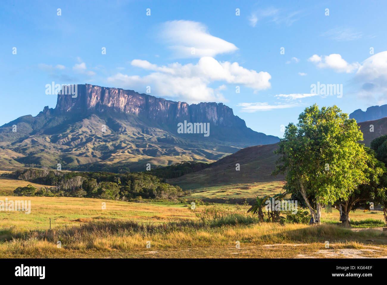 Trekking Mount Roraima Venezuela South America Stock Photo - Alamy