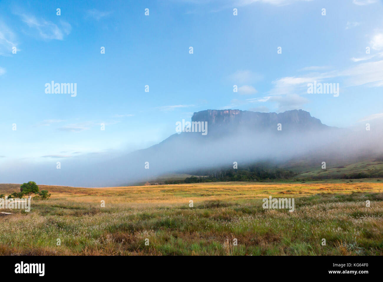 Trekking Mount Roraima Venezuela South America Stock Photo - Alamy