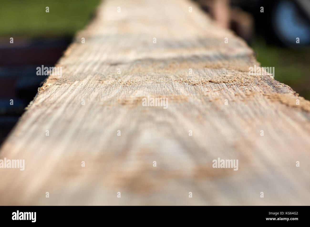 Detail of the surface and wood grain on a plank of freshly milled ...