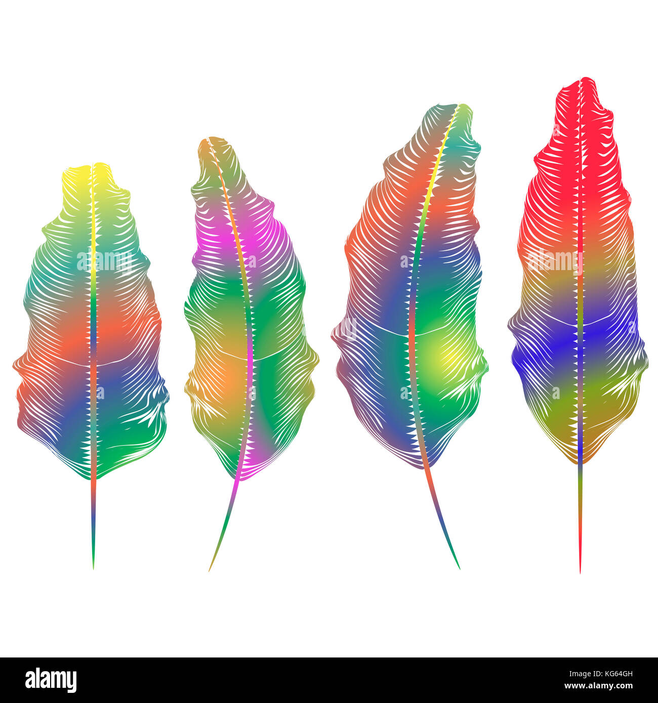Image set colorful bird feathers hi-res stock photography and images ...