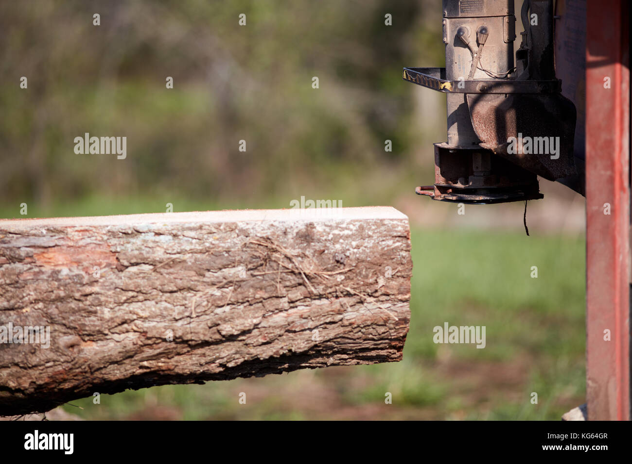 Trunk being cut hi-res stock photography and images - Alamy