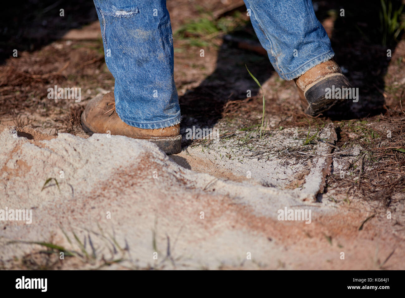 Man walking through a pile of fresh sawdust on the ground produced ...