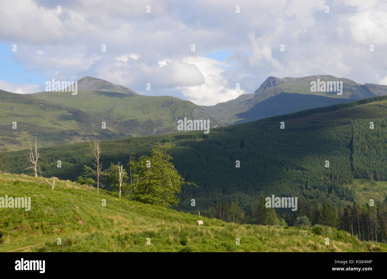 The Munros Ben Vorlich & Stuc a' Chroin from Glen Kendrum on Route to ...