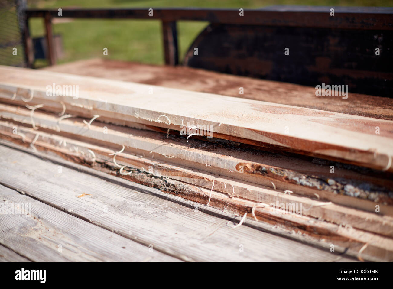 Freshly cut rough sawed planks of lumber alongside a portable milling ...