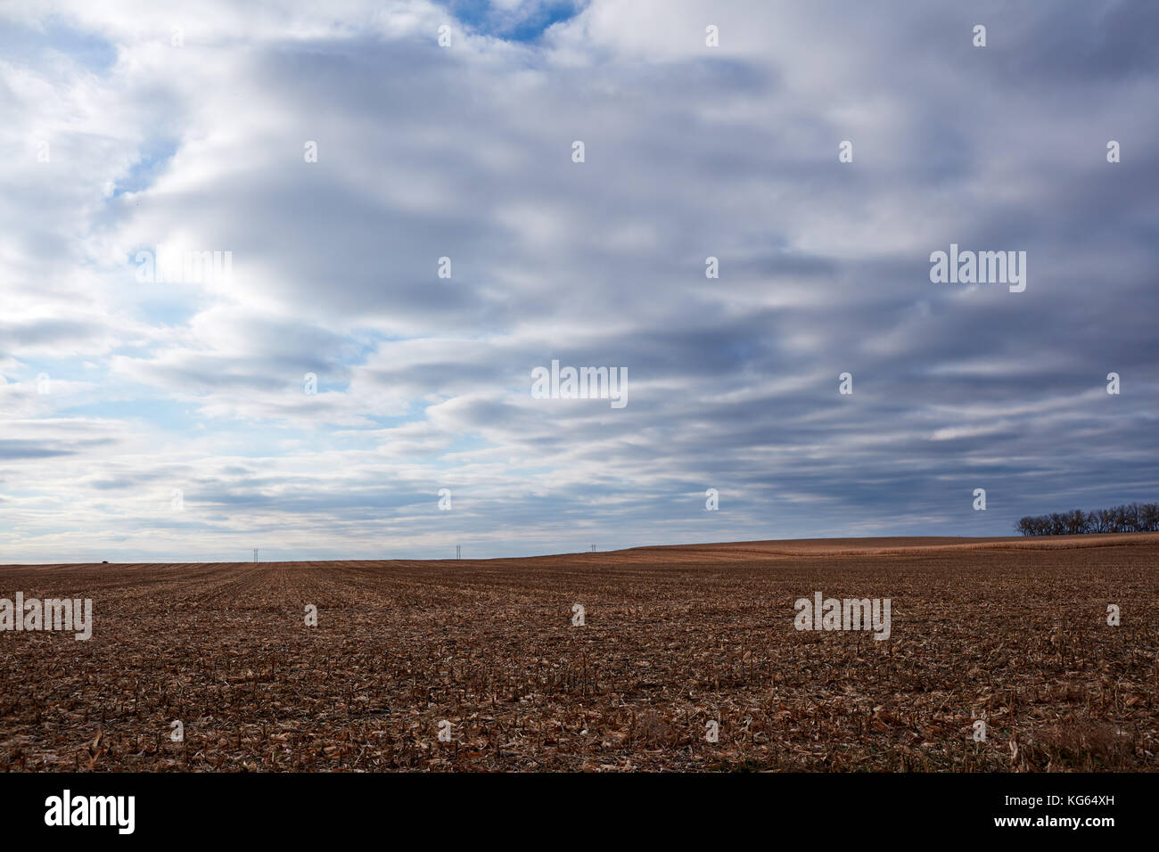 Newly harvested agricultural field under a brooding grey sky in a vast ...