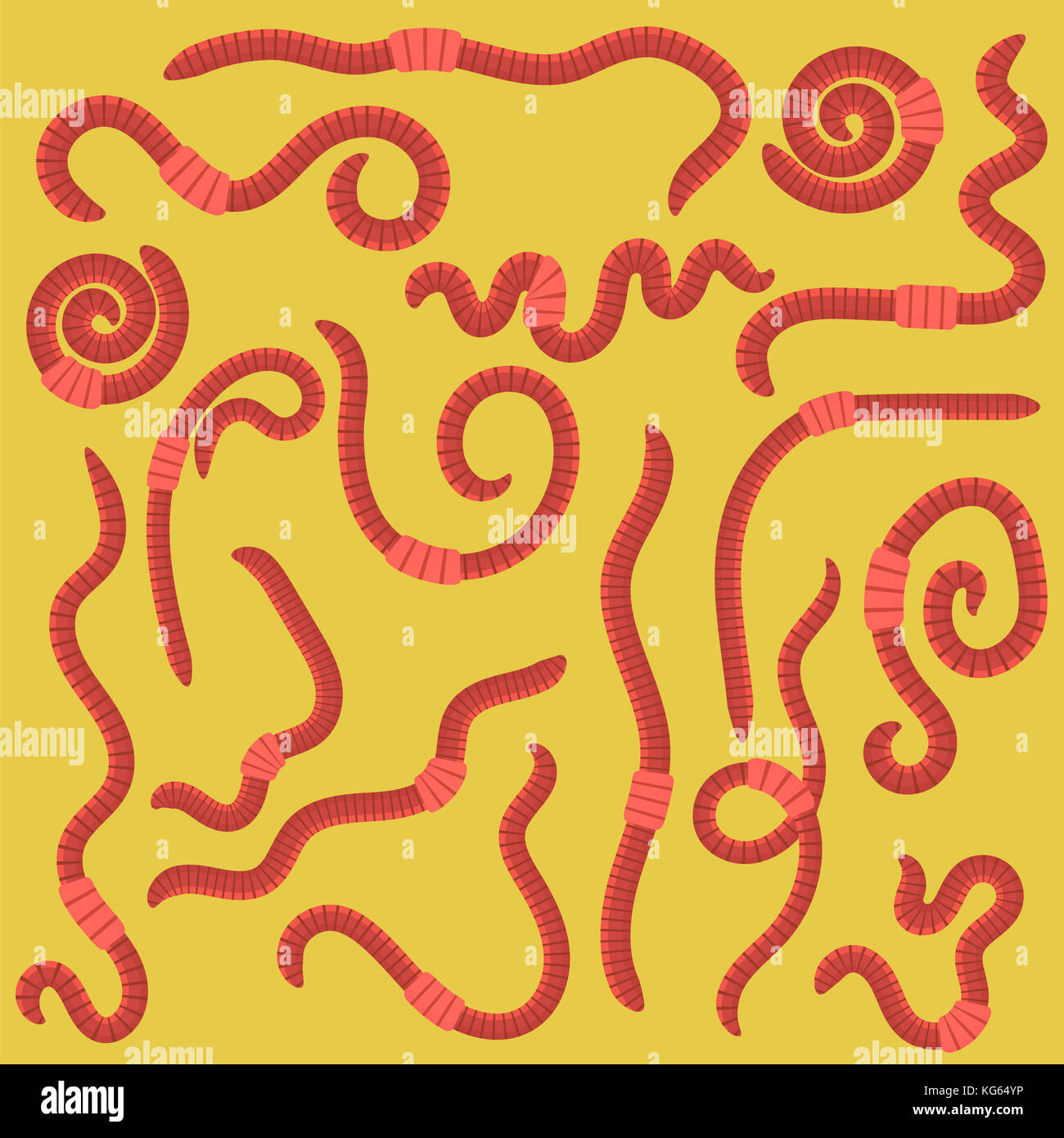 Animal Earth Red Worms Stock Photo - Alamy