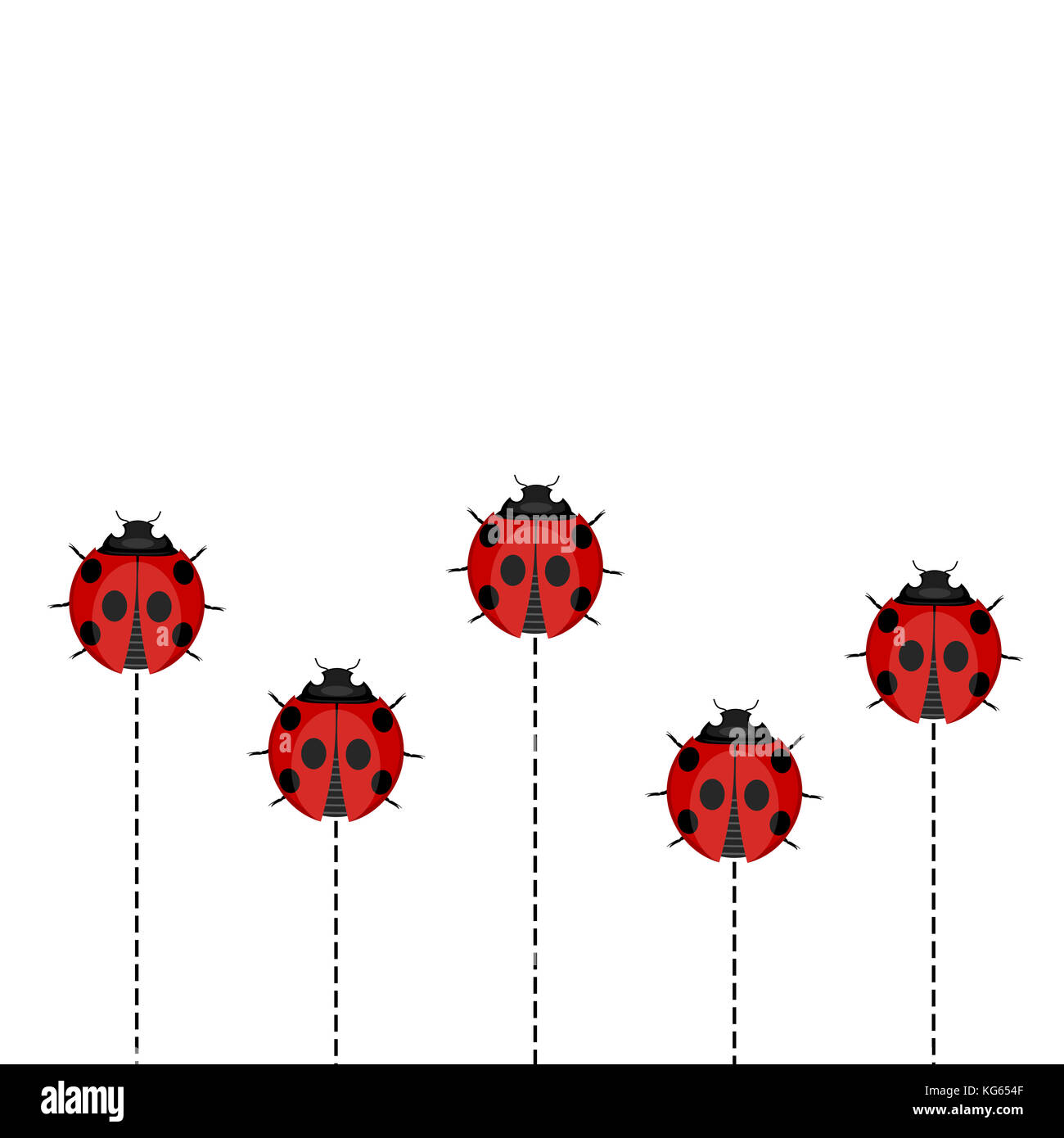 Ladybug Pattern on White Background Stock Photo - Alamy
