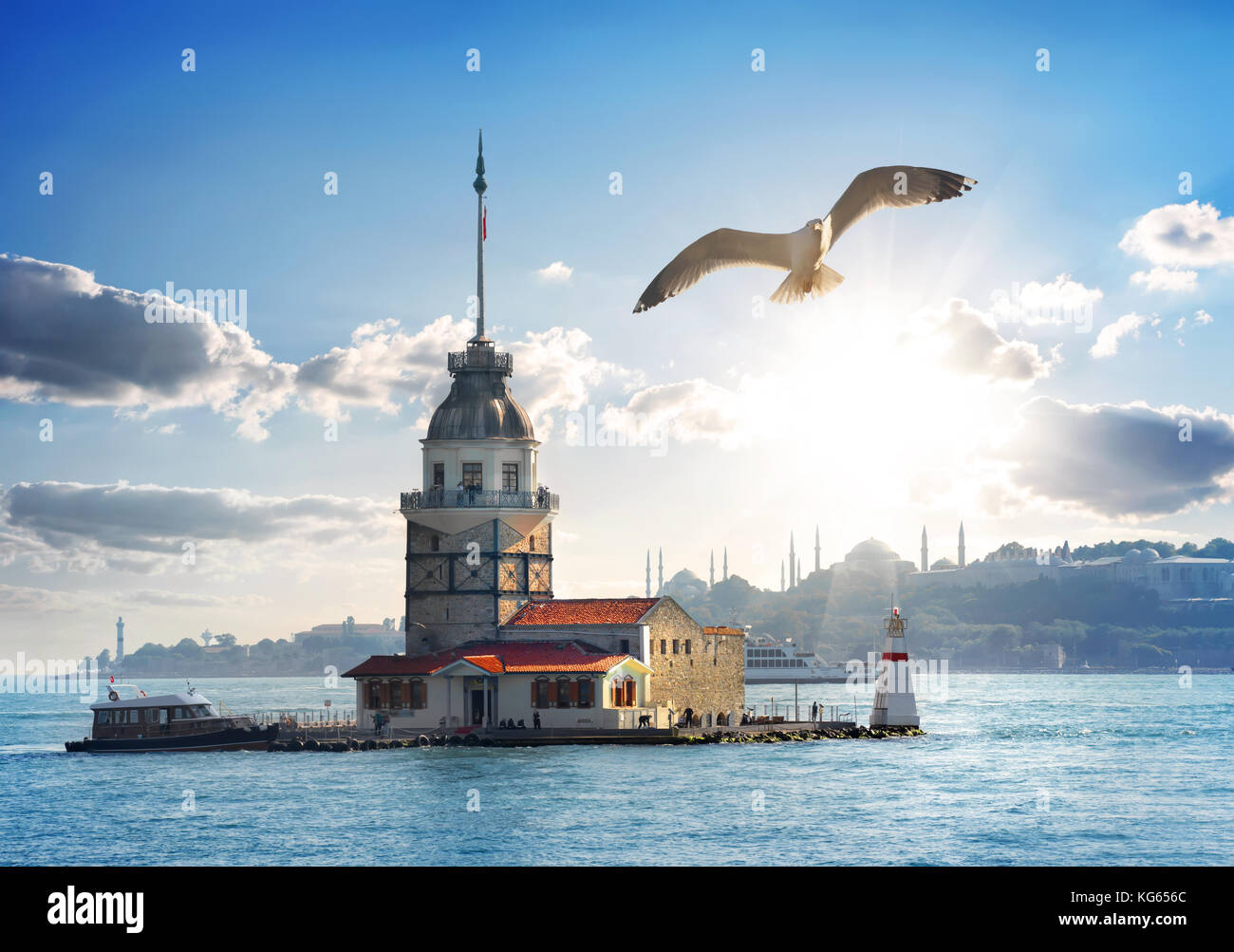 Seagull flying near Maiden's Tower in Istanbul at day, Turkey Stock ...