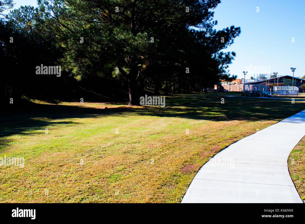 Operon regulation hi-res stock photography and images - Alamy