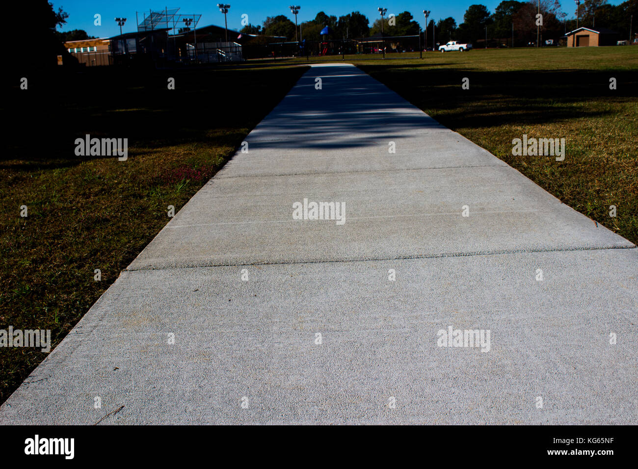 Biosynthetic pathway hi-res stock photography and images - Alamy