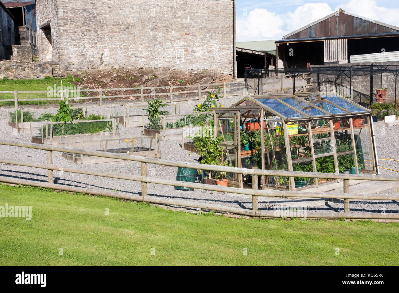 green house in farmyard garden full of home grow organic vegetables ...