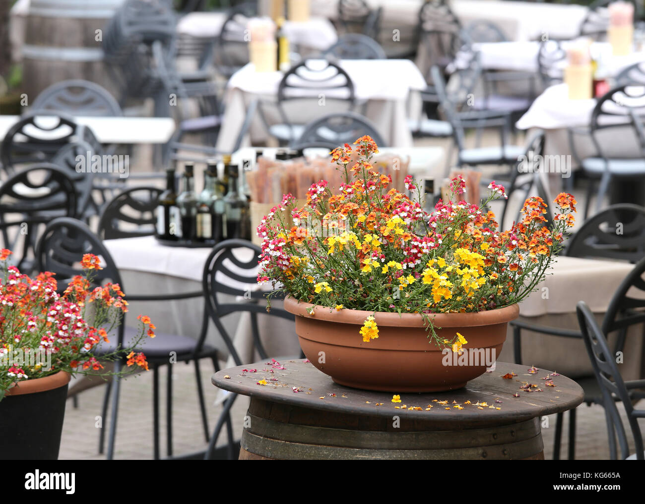 pots of flowers on the tables in the alfresco bar in the european city ...