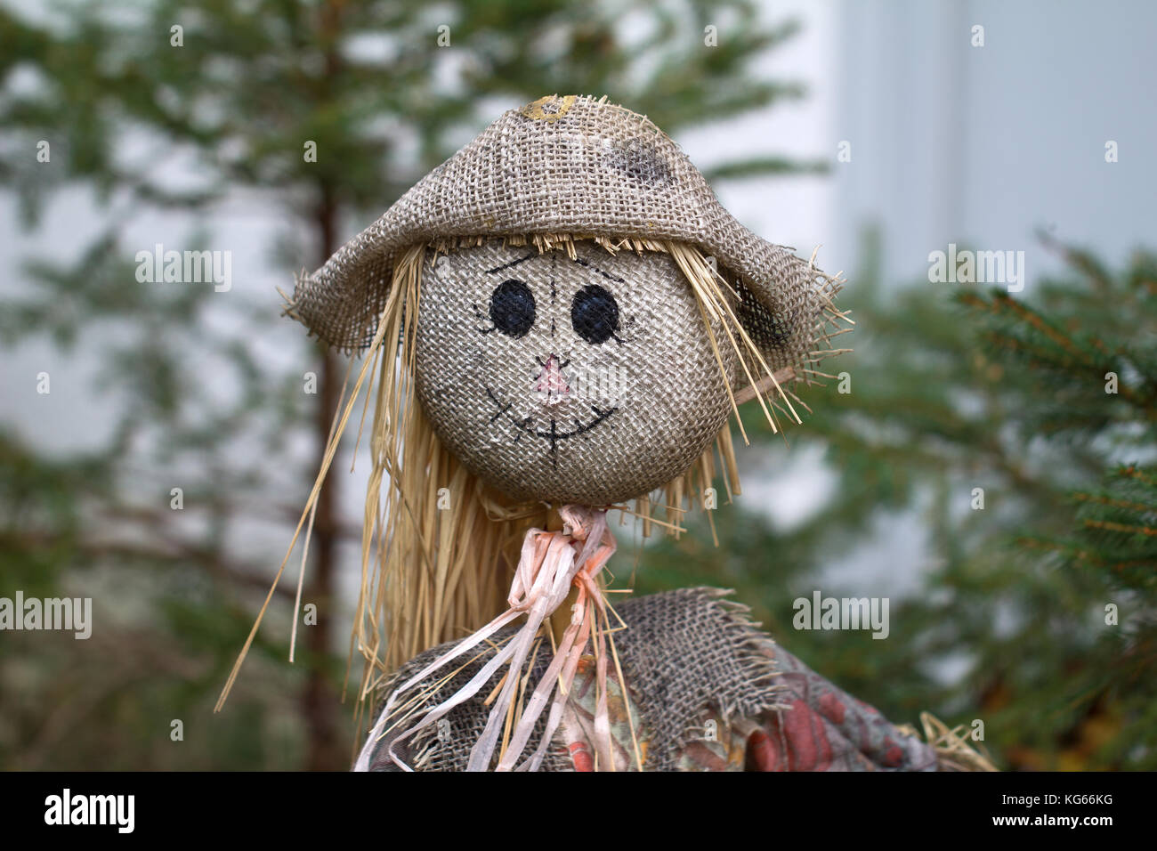 Scarecrow / Scarecrow wearing a hat and a smile Stock Photo - Alamy