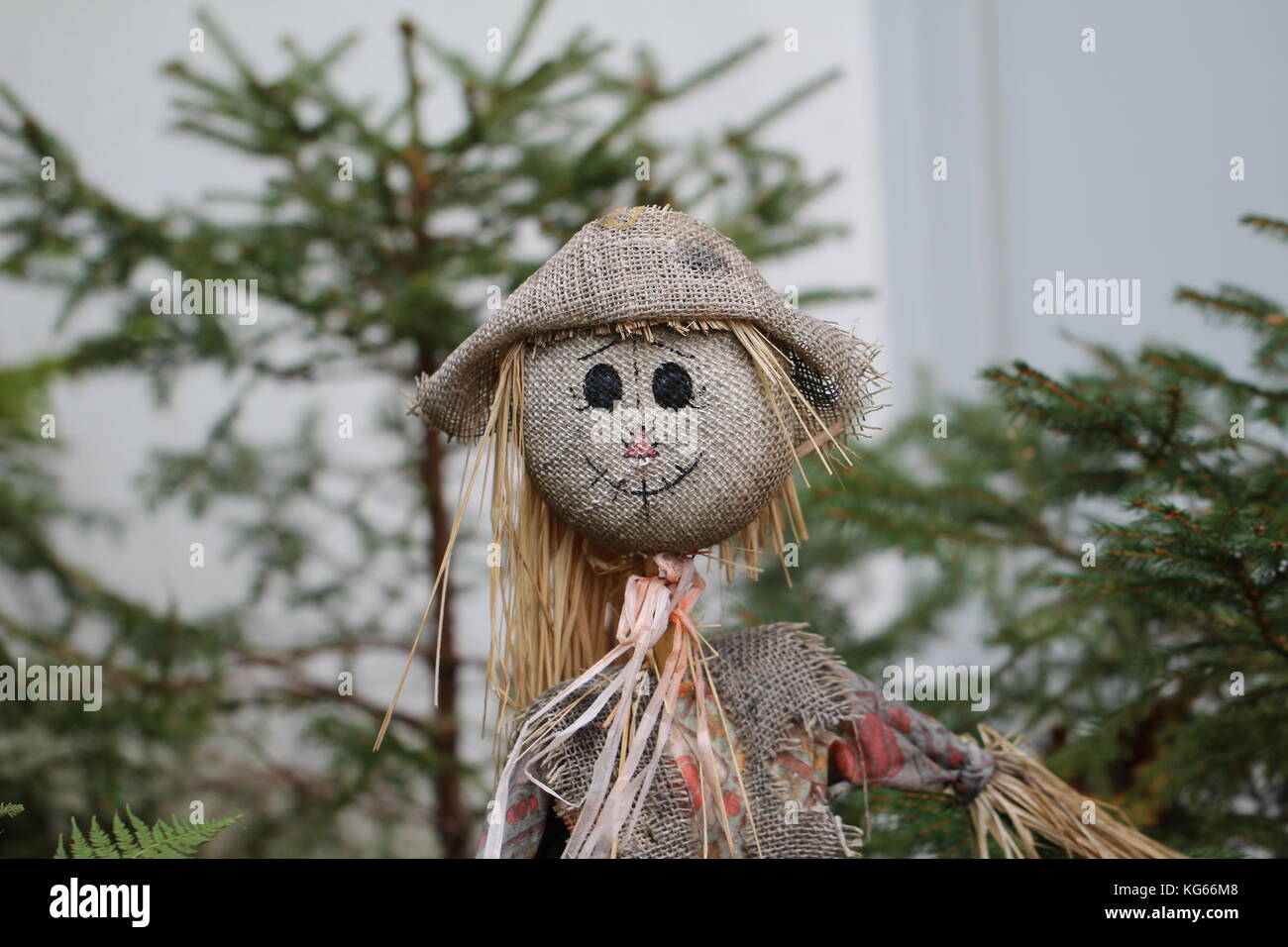 Scarecrow / Scarecrow wearing a hat and a smile Stock Photo - Alamy