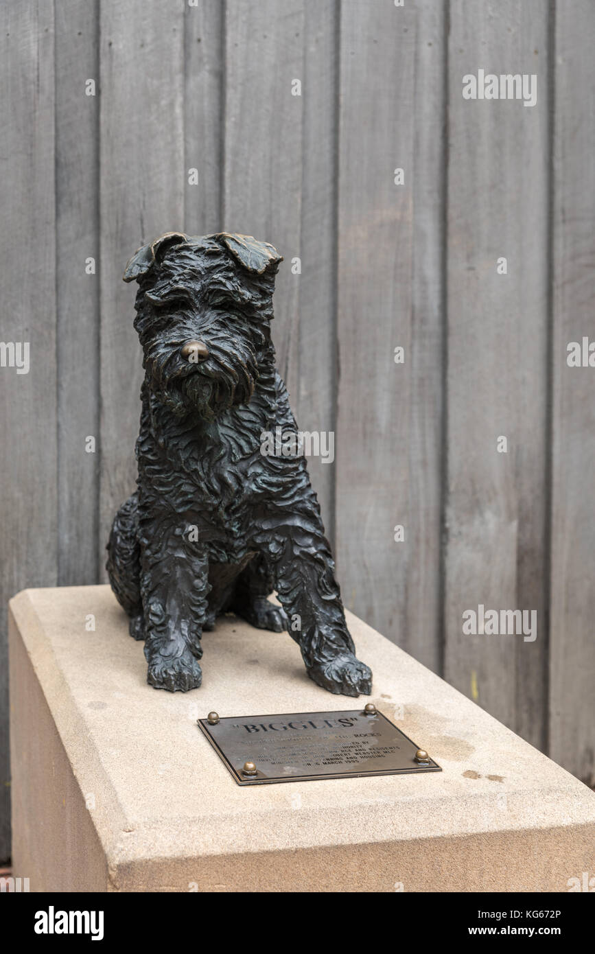 Sydney, Australia - March 22, 2017: Bronze statue of Biggles, a black ...