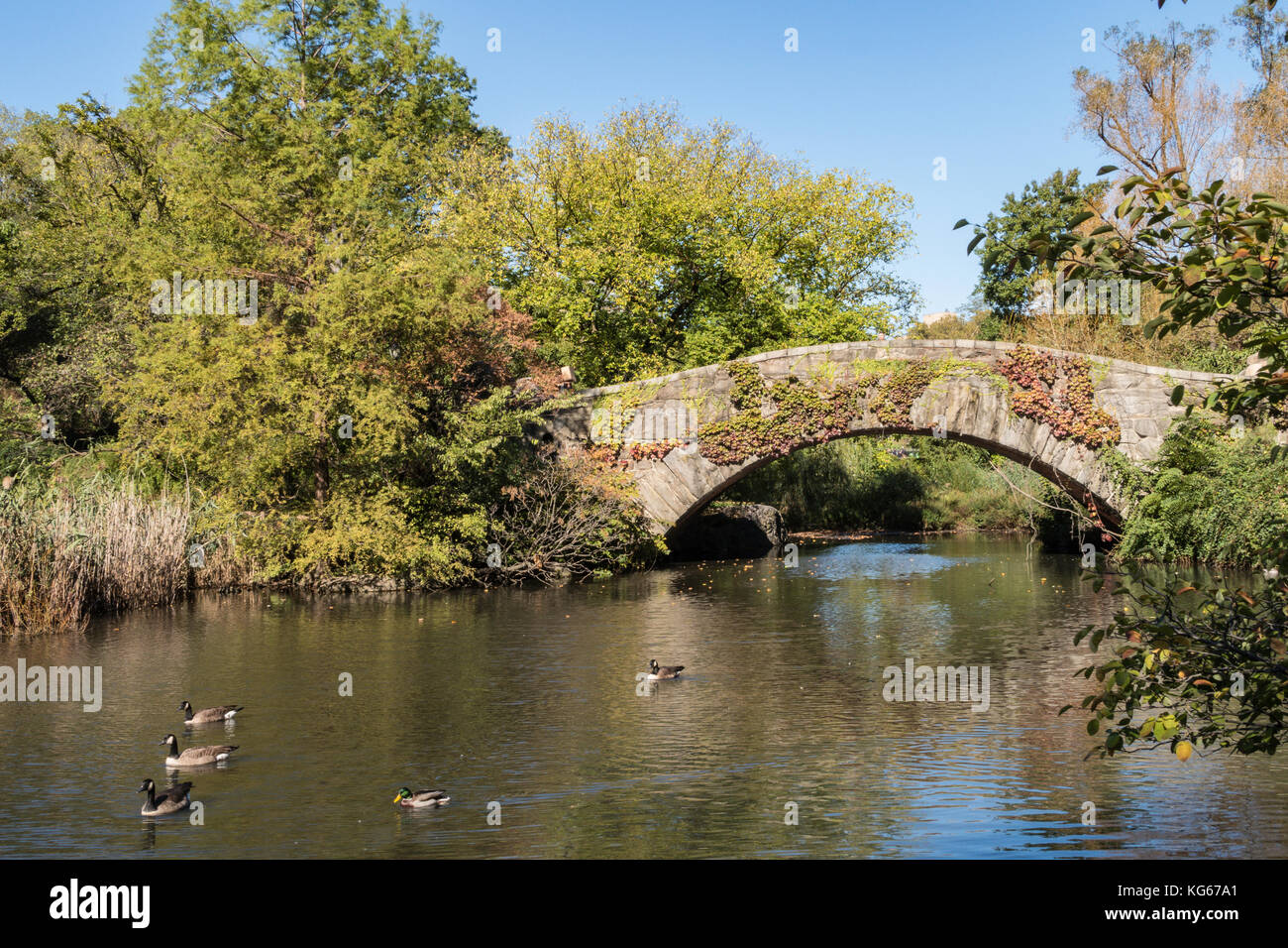 Gapstow bridge in central hi-res stock photography and images - Alamy