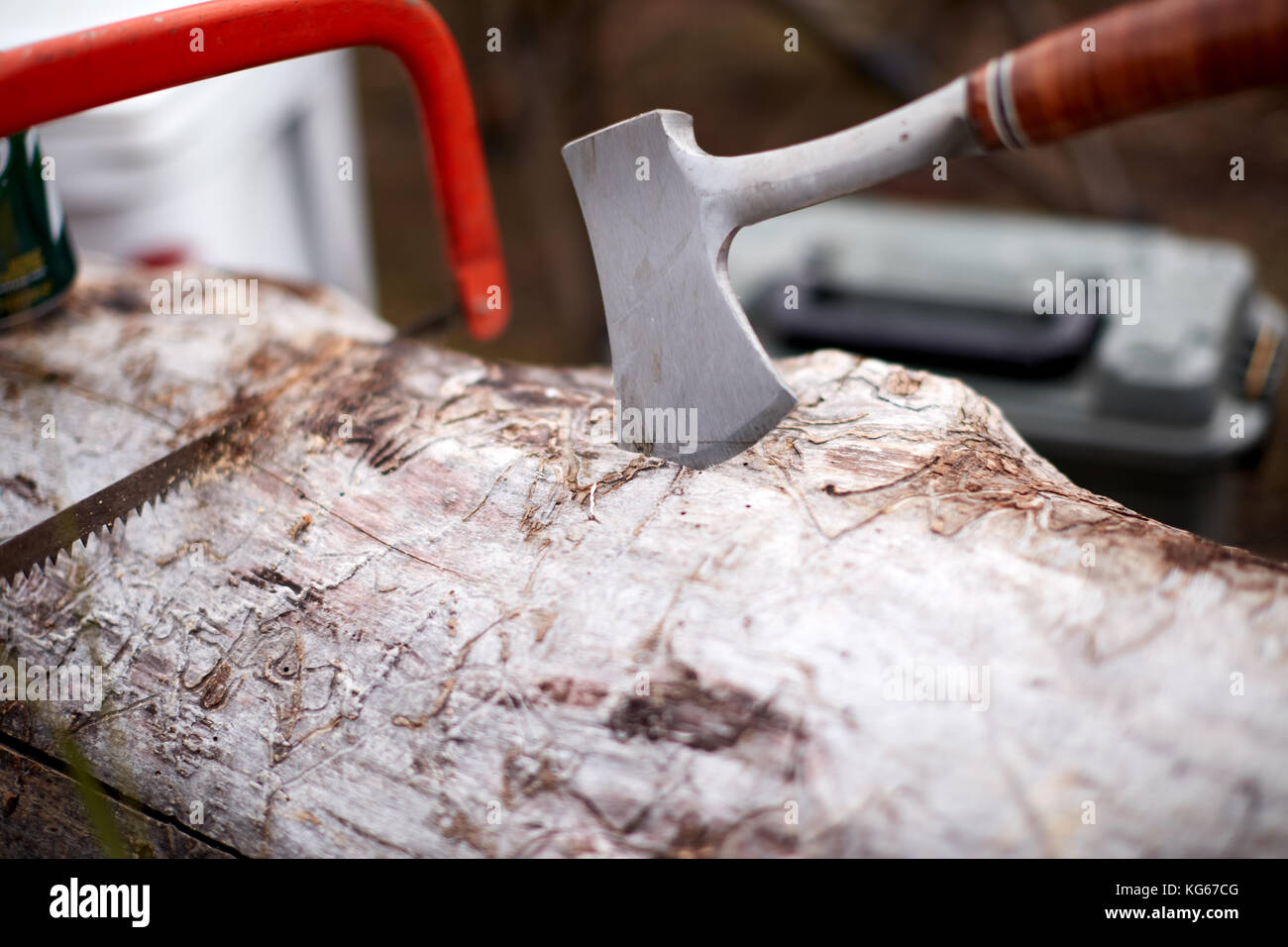 Bow saw and small metal axe being used to chop dead wood for fuel for a ...