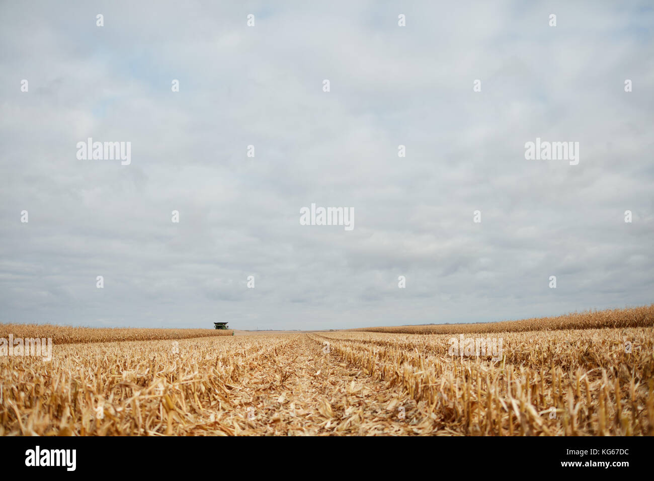 Clod cover hi-res stock photography and images - Alamy