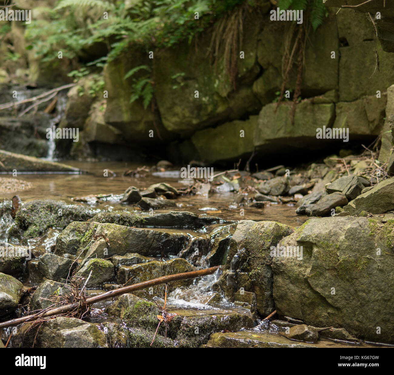 small stream with set of tiny waterfalls Stock Photo - Alamy