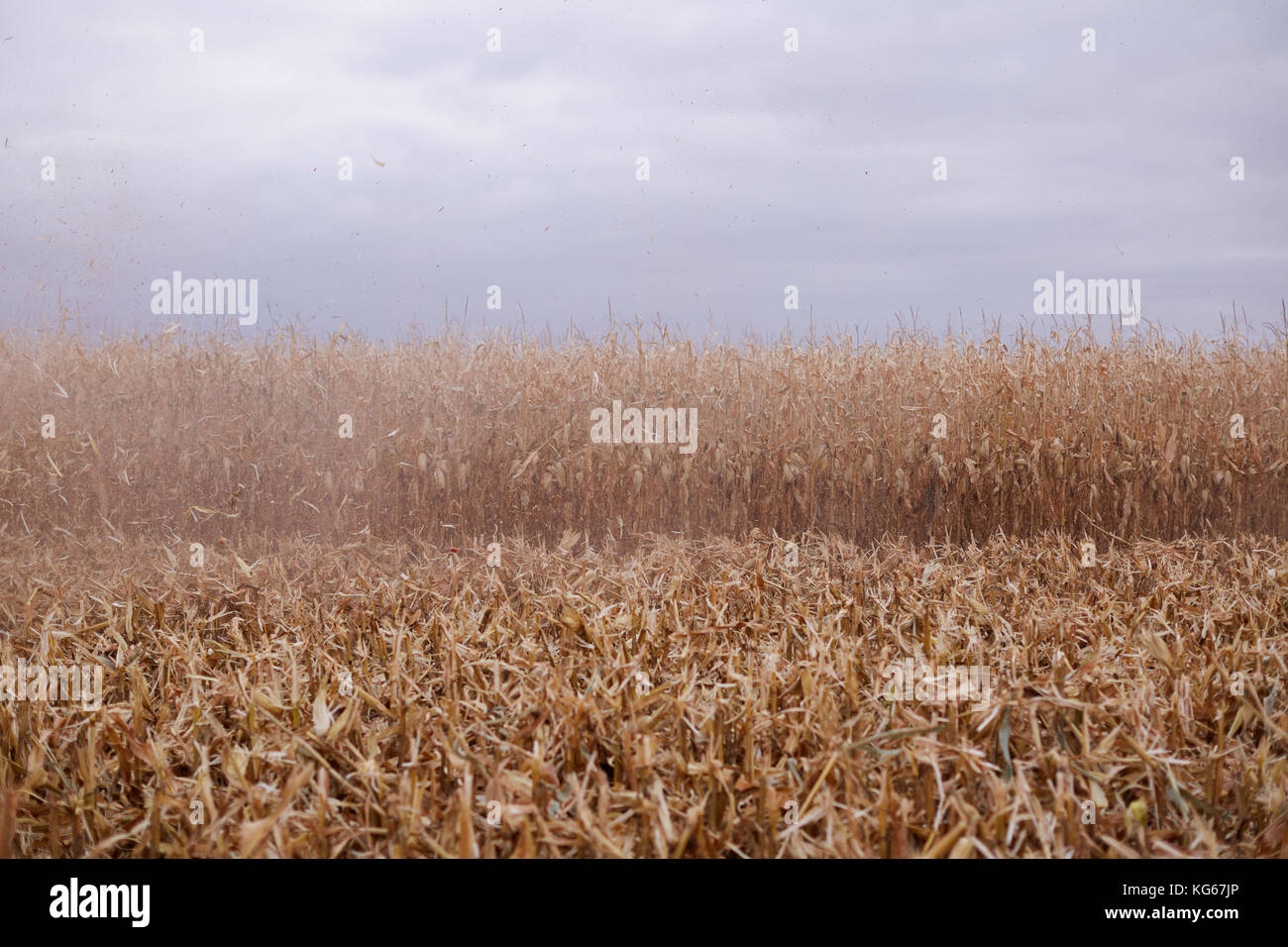Cloudy dust hi-res stock photography and images - Alamy