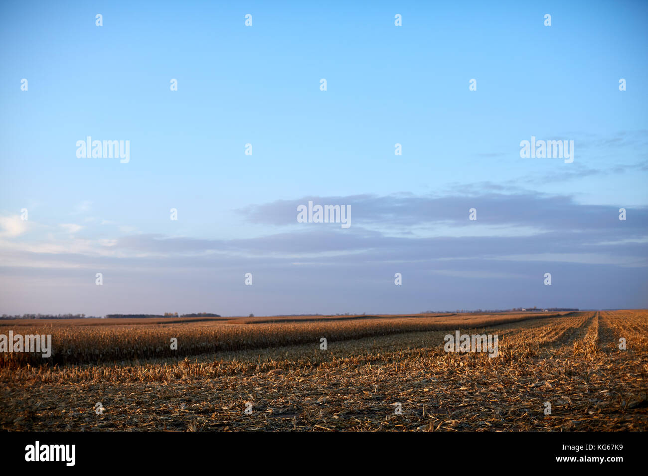Swathes of grass hi-res stock photography and images - Alamy