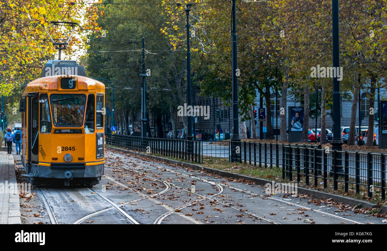 Turin Tram High Resolution Stock Photography and Images - Alamy