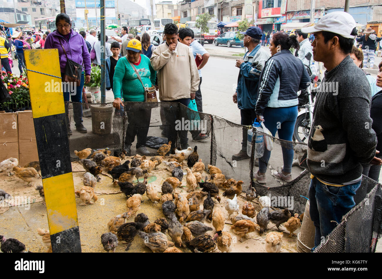 street market in Lima, Peru Stock Photo - Alamy