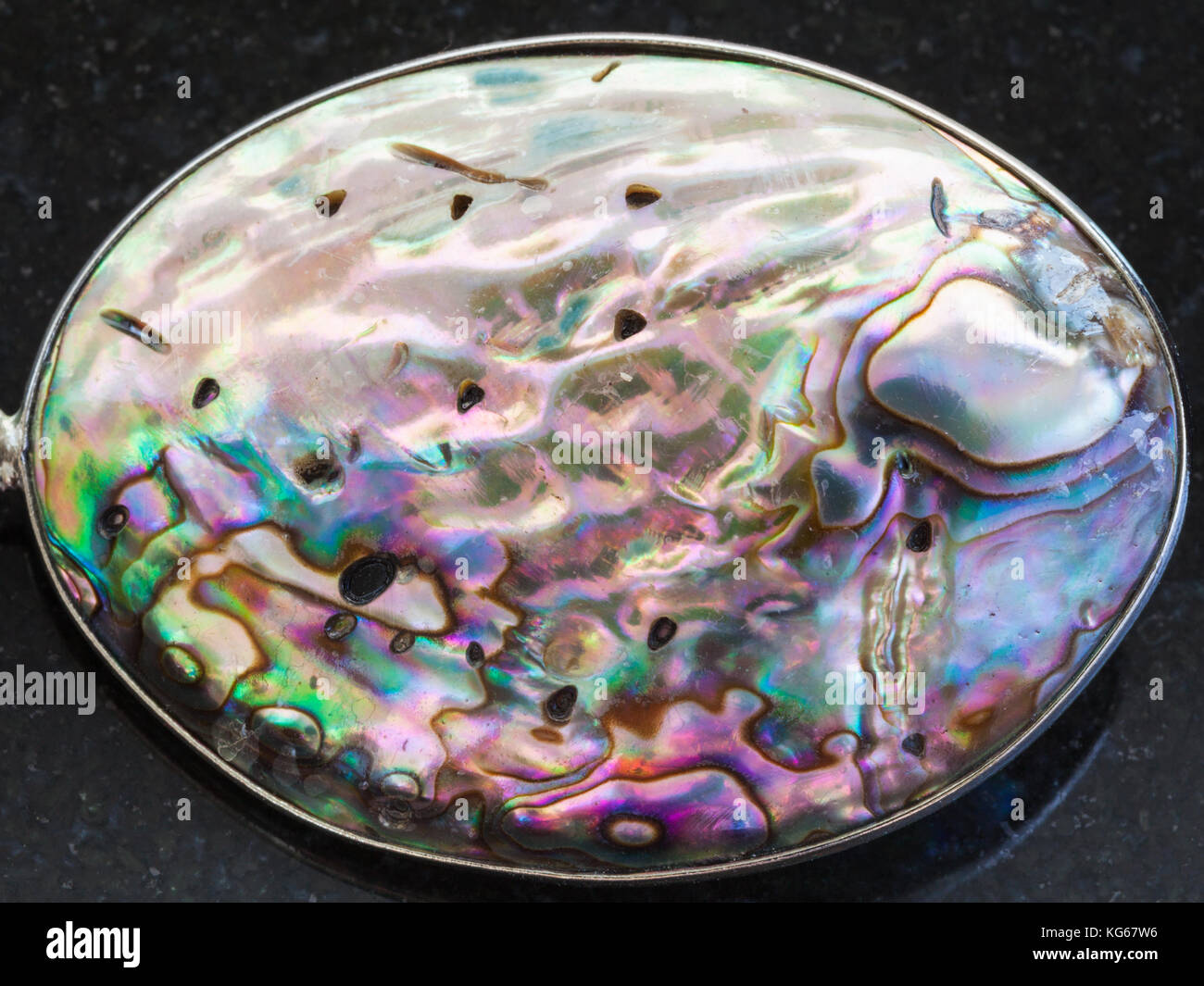 Abalone on rock hi-res stock photography and images - Alamy