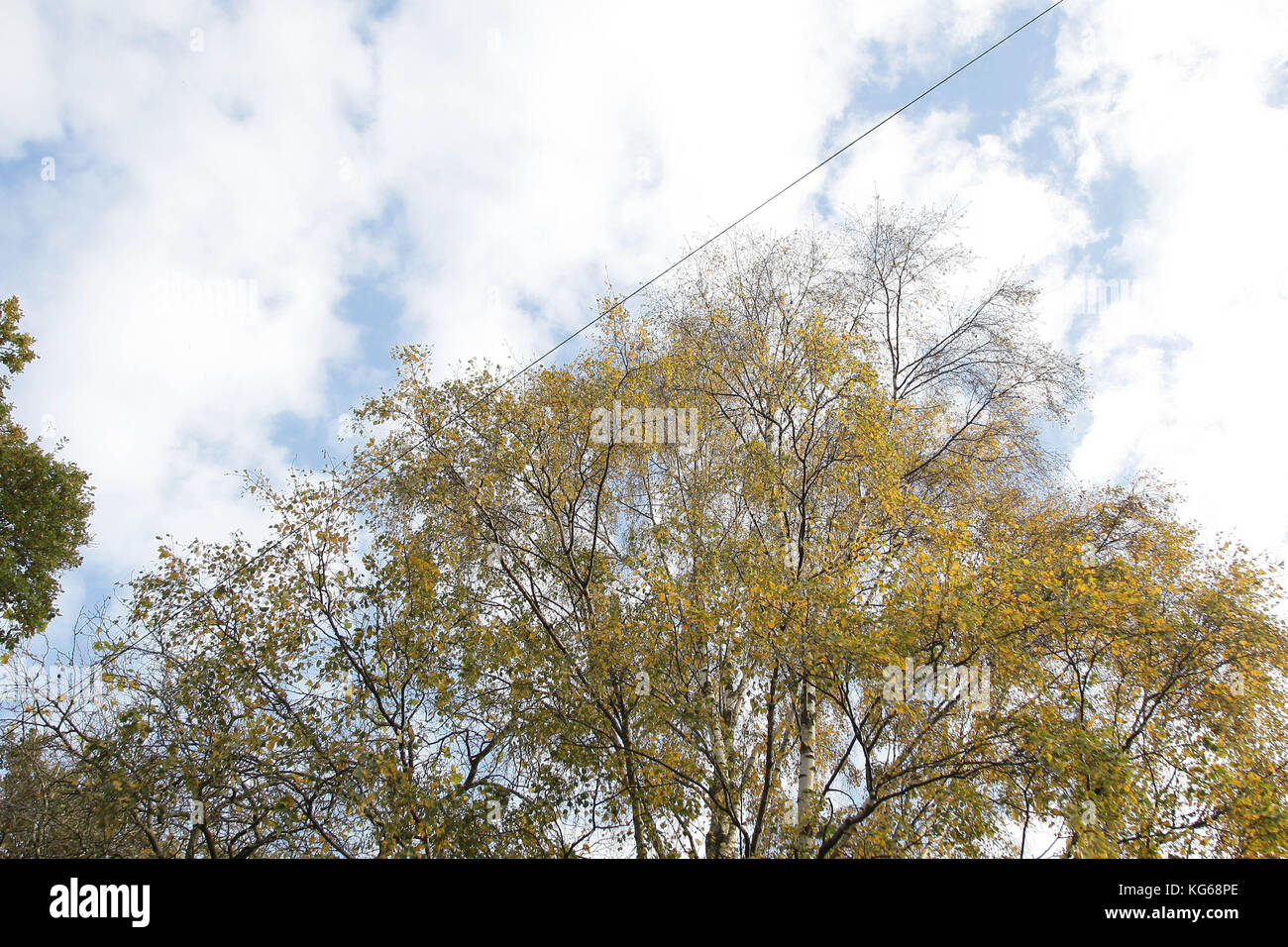 Sefton Park Bandstand Stock Photos & Sefton Park Bandstand Stock Images ...